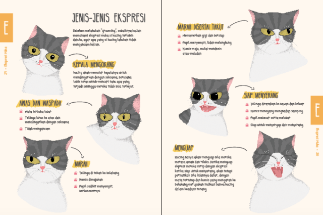 Tugas Akhir : PERANCANGAN KOMUNIKASI VISUAL PUBLIKASI “A SAMPAI Z CARA ...